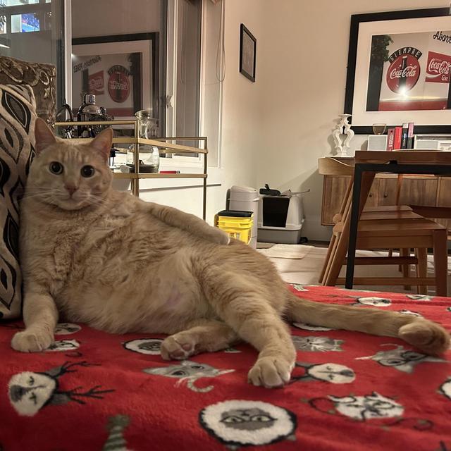 Alec Rodriques and Cheyenne Reese's Wedding Registry on Zola