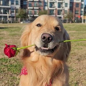 Mandie Capozzelli and Nick Shephard's Wedding Registry on Zola