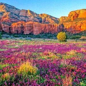 Christopher Massi and Amanda Massi's Wedding Registry on Zola