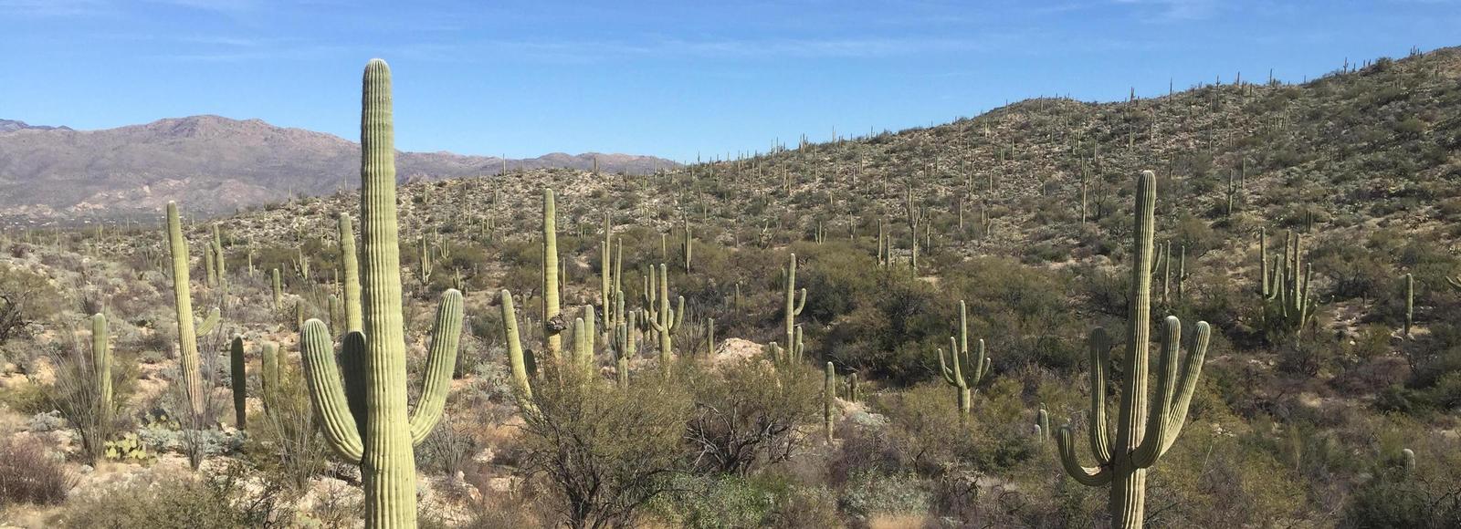 Benjamin Toff and Andrew Tangel's Wedding Registry on Zola