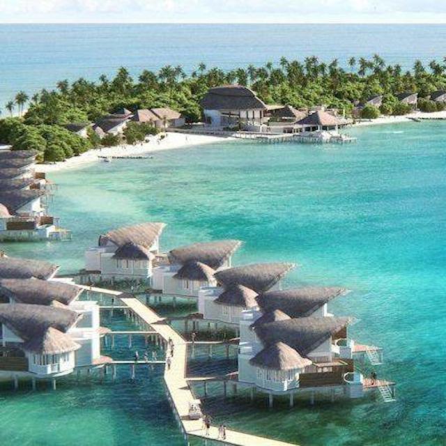 Angela Goetz and Ravin Sachdeva's Wedding Registry on Zola