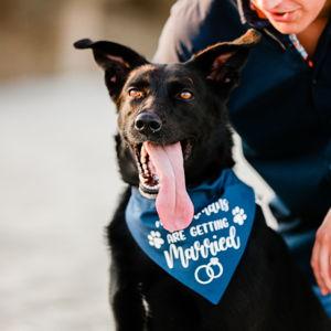 Shannon Brahn and James Aridas's Wedding Registry on Zola