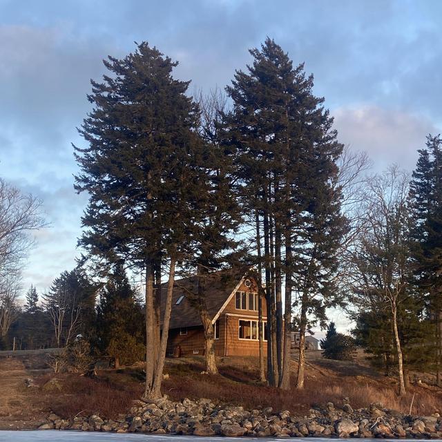 Audri Sander and Alvin Horner-Luettel's Wedding Registry on Zola