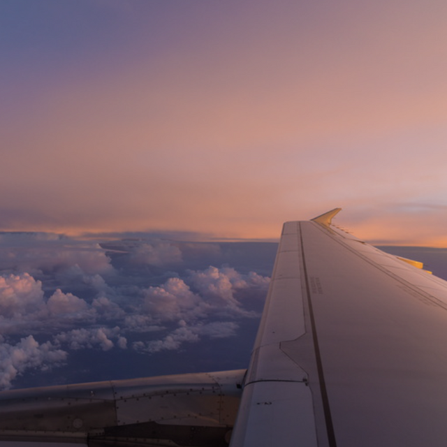 Beau Wollens and Sarah Bachman's Wedding Registry on Zola