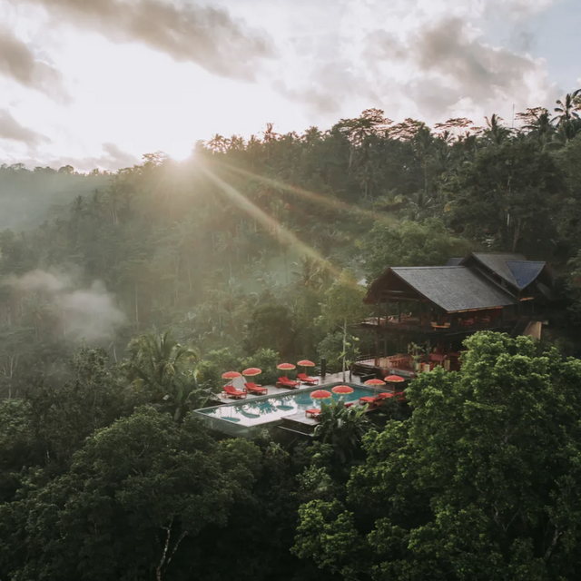 Beau Wollens and Sarah Bachman's Wedding Registry on Zola