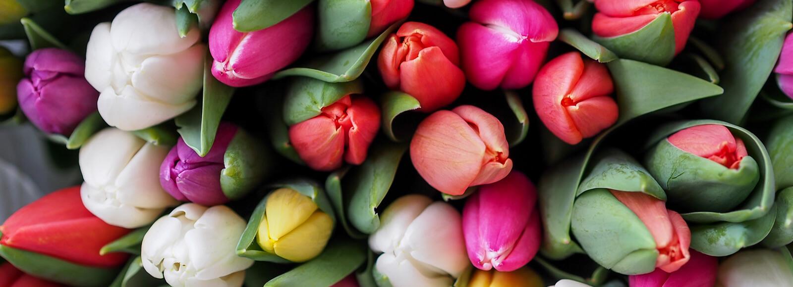 Becca Stallings and Jonathan Hazelton's Wedding Registry on Zola