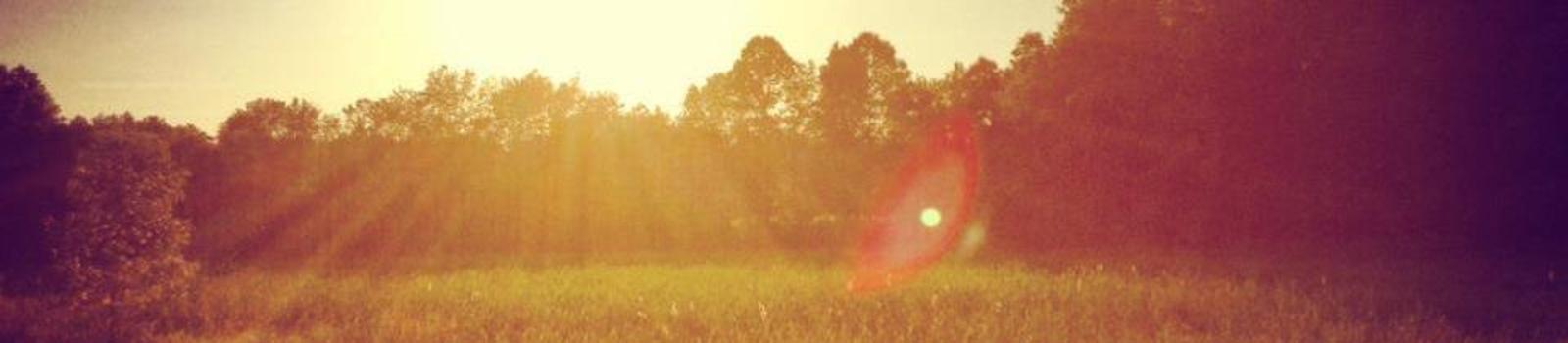 Emily Keizer and Mike Bernstein's Wedding Registry on Zola