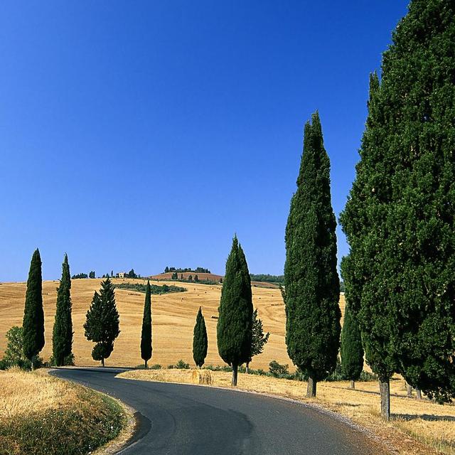 Emily Keizer and Mike Bernstein's Wedding Registry on Zola