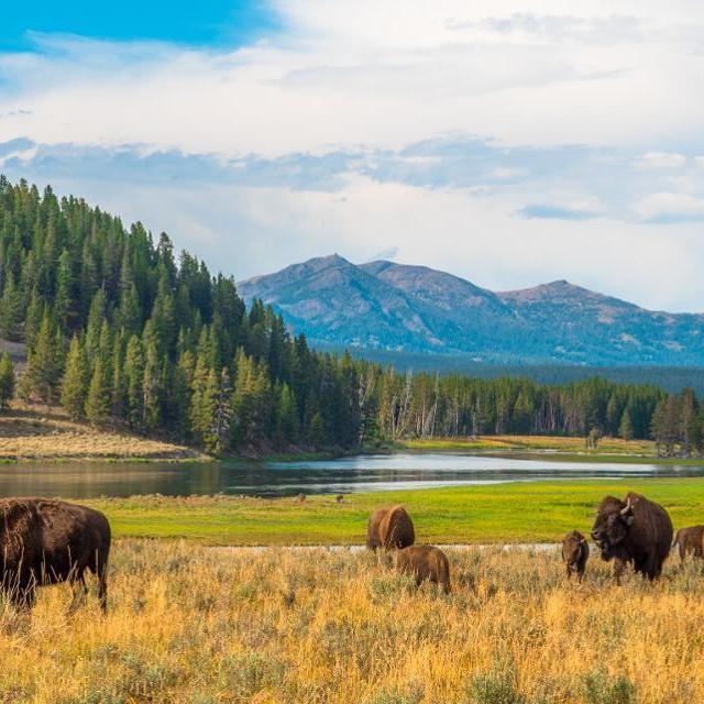 Bethany Liska and Jordan Kiebler's Wedding Registry on Zola