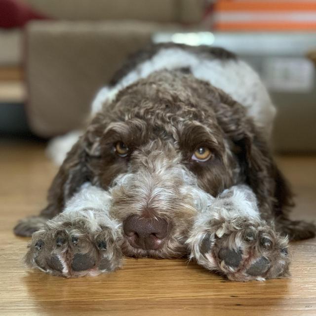 Bibit Bianchini and Henry Love's Wedding Registry on Zola