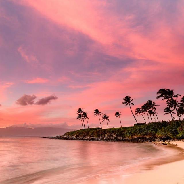 Bohan Wei and Matt Nielsen's Wedding Registry on Zola