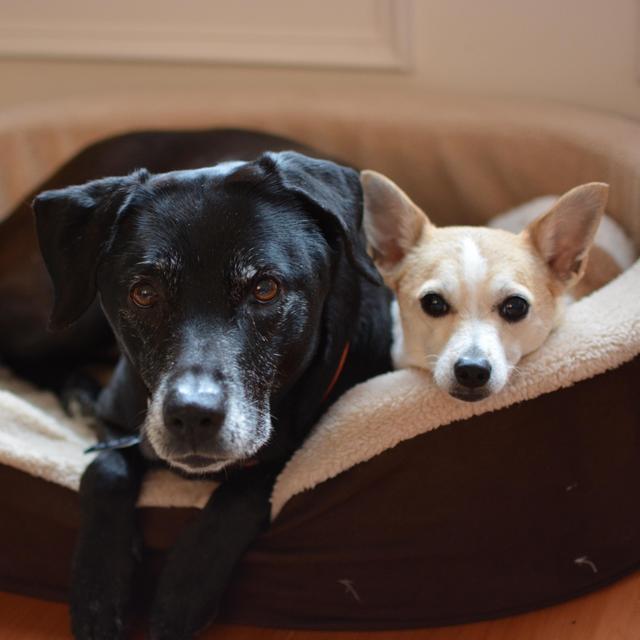 Kate Brendel and John Bain's Wedding Registry on Zola