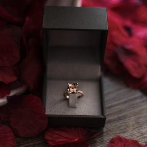 Sarah Bulgaris Andoh-Kesson and Peter Andoh-Kesson's Wedding Registry ...