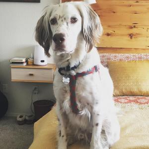 Hannah Esper and David Burley's Wedding Registry on Zola