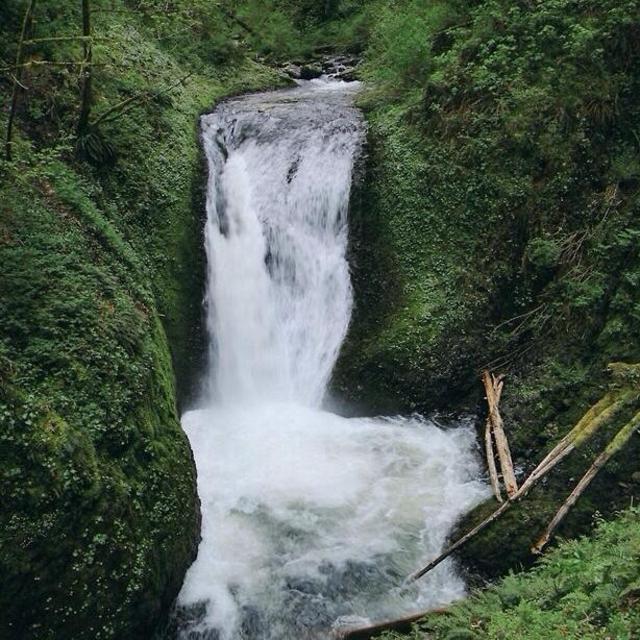 Ashley Cambra and Derek Secore's Wedding Registry on Zola