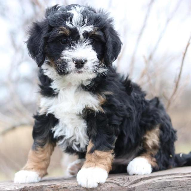 Cameron Salter and Pinky Langat's Wedding Registry on Zola