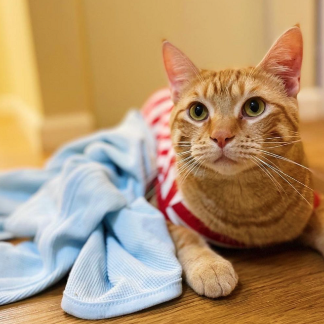 Alicia Carcione and Dylan Cosgrove's Wedding Registry on Zola