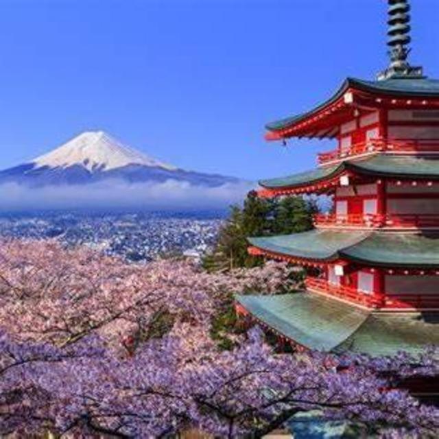 Carolina Rojas and Joseph Paduano's Wedding Registry on Zola