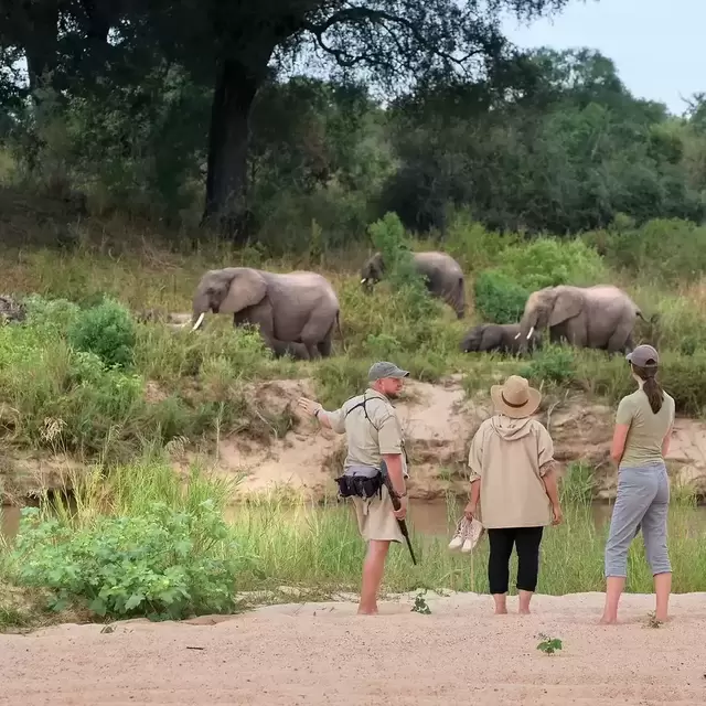 Carrie Stevens and Matthew Prorok's Wedding Registry on Zola