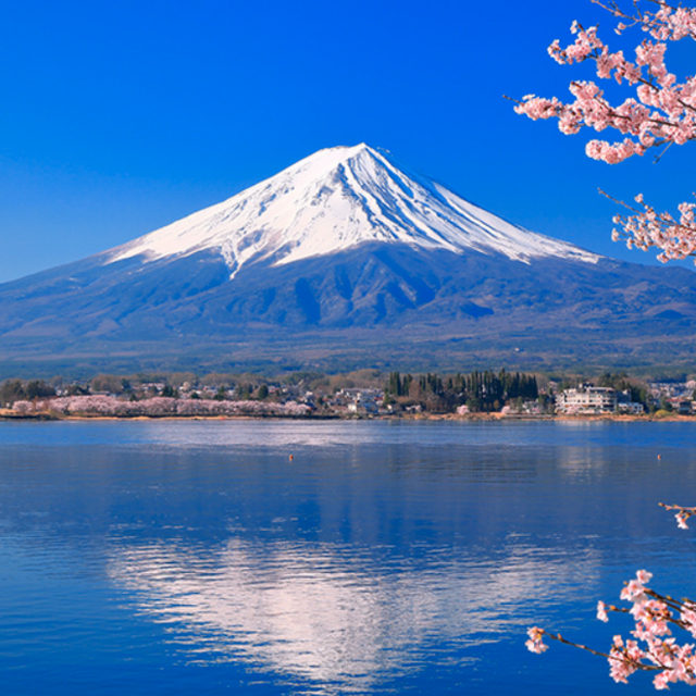 Stephanie Certa and Andrew Unyi's Wedding Registry on Zola