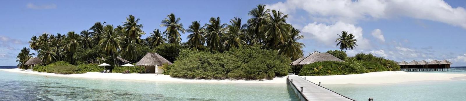 Chris Hernandez and David Mott's Wedding Registry on Zola