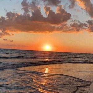 Craig Hynes and Jessica Eckford's Wedding Registry on Zola