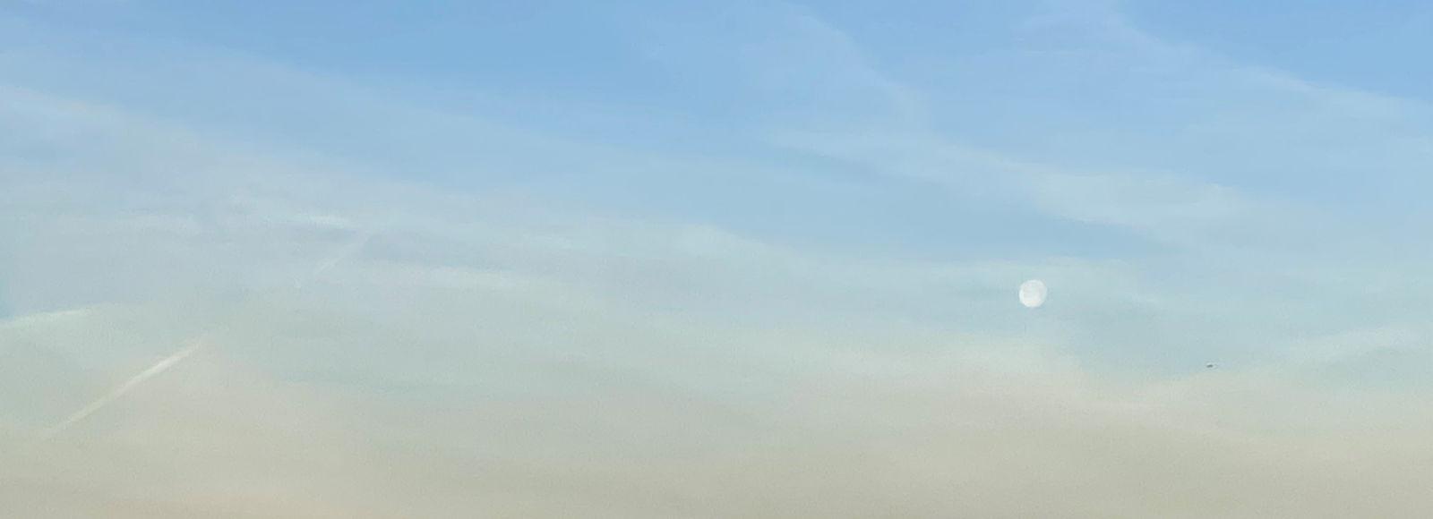 Daniela Chediak and Andrew Chansky's Wedding Registry on Zola