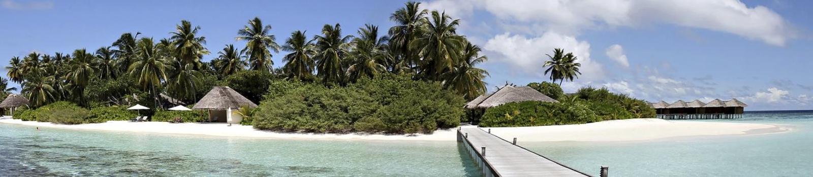 Danielle Bailey and Alex Sansone's Wedding Registry on Zola