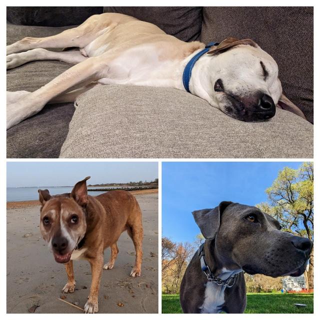 Kate Nyquist and Darius Rybinski's Wedding Registry on Zola