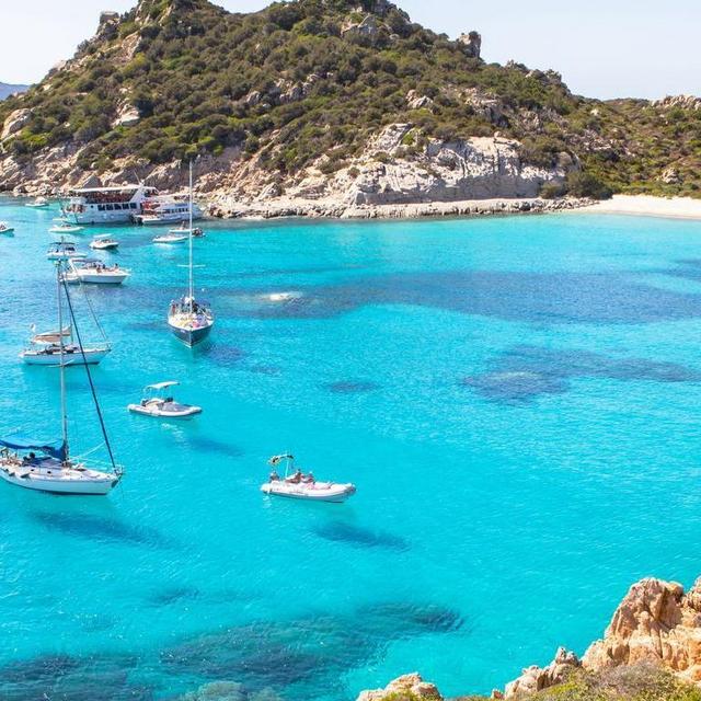 Kate Nyquist and Darius Rybinski's Wedding Registry on Zola