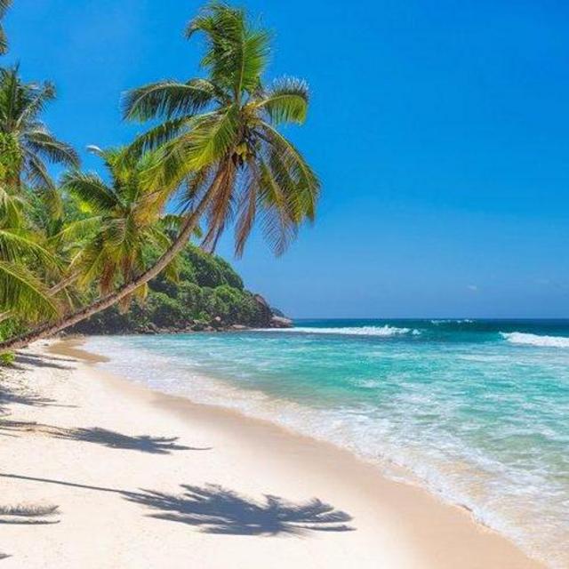 Michele Eifert and Dave Mortenson's Wedding Registry on Zola