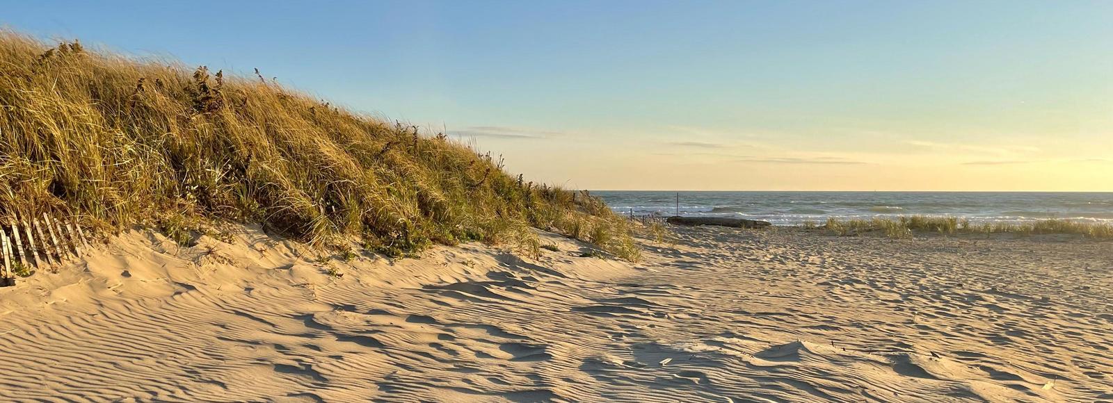 Jaden Velez and Derek Botelho's Wedding Registry on Zola