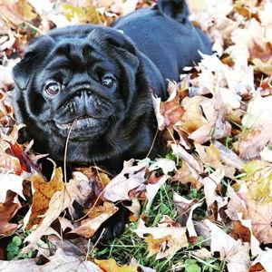 Doug Schlarman and Mark Stokely's Wedding Registry on Zola