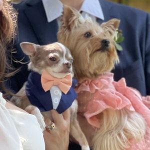 Kate Duncan and Robert Beatty's Wedding Registry on Zola