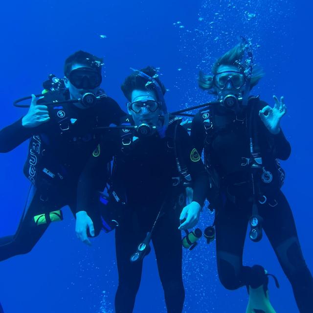 Dylan Slack and Disi Ji's Wedding Registry on Zola