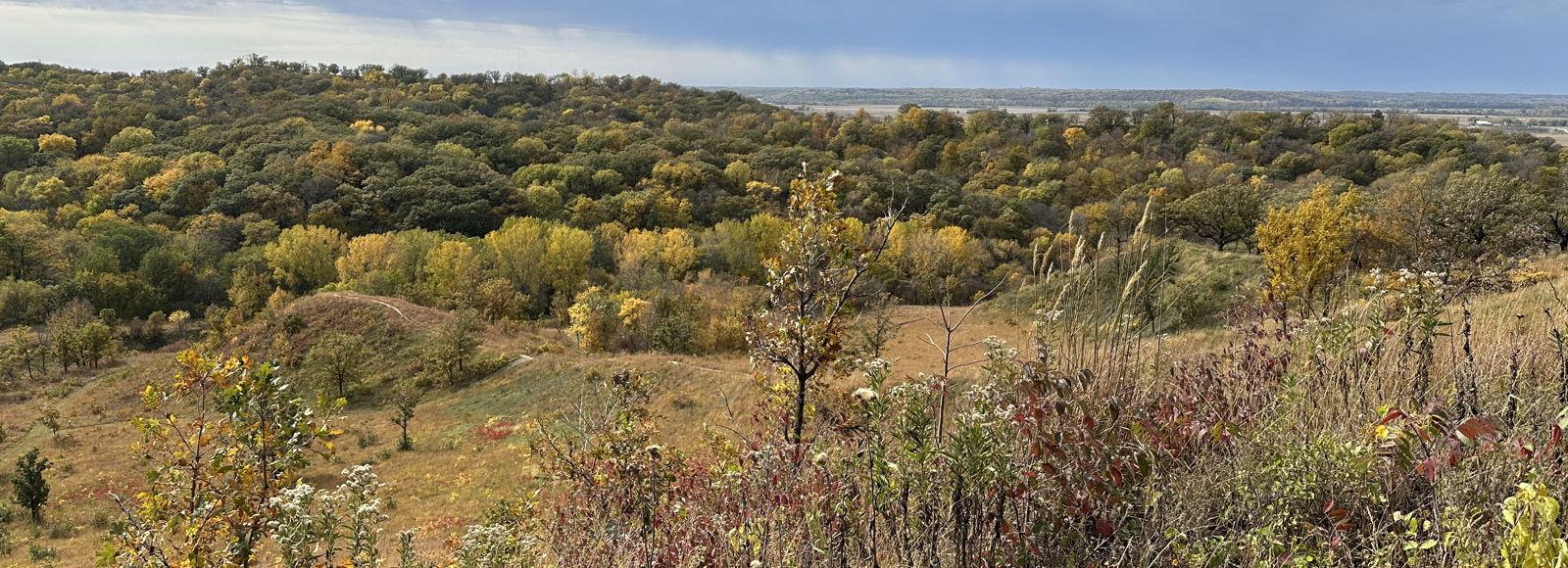 Emily Timm and Brad Vasey's Wedding Registry on Zola