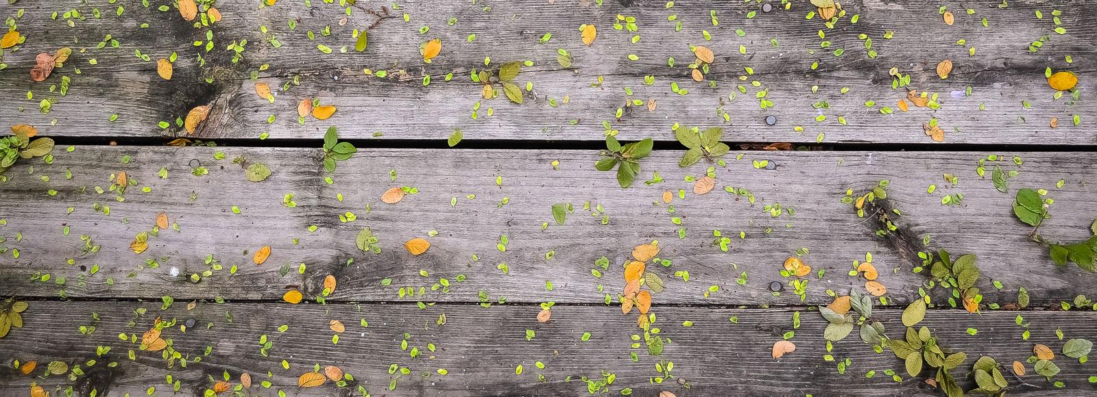 Emma Redden and Nick Regenold's Wedding Registry on Zola