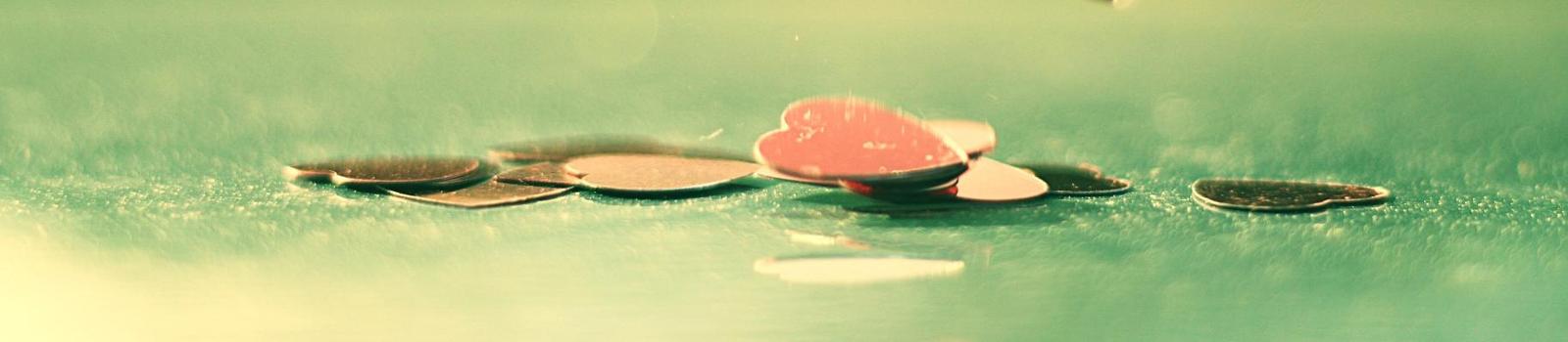 Erin-Mari Kelsey and Steven Carton's Wedding Registry on Zola