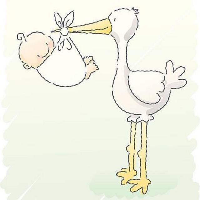 Mary Feeley and Joshua Darling's Wedding Registry on Zola