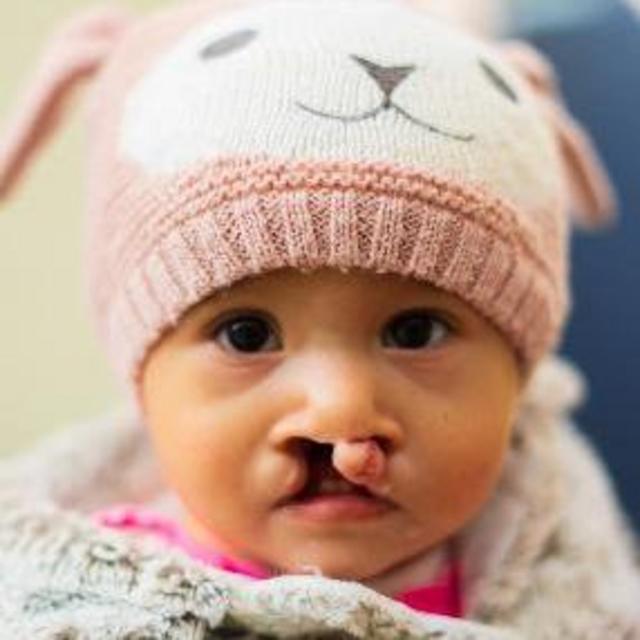 Caitlin Finn and Joel Nackman's Wedding Registry on Zola