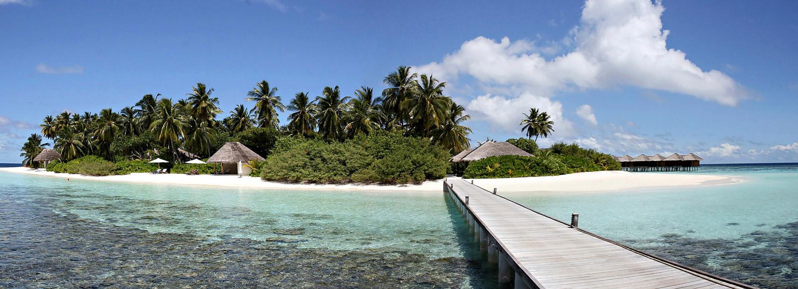 Matthew Stoudt and Alicia Franceschi's Wedding Registry on Zola