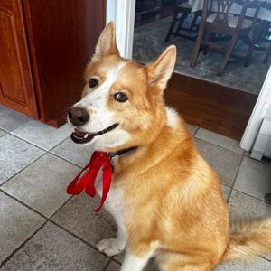 William Geer and Marissa Gentle's Wedding Registry on Zola