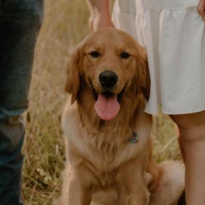 Kayla George and Raymond Leaman's Wedding Registry on Zola