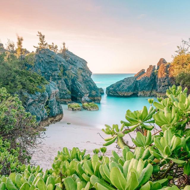 Sarah Gerlach and Andrew Siegel's Wedding Registry on Zola