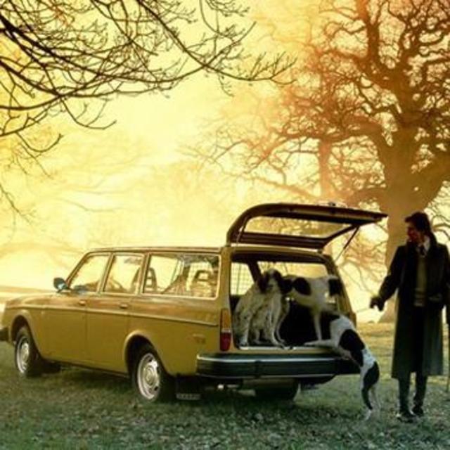 Alexandria Colerick and Cameron Schenk's Wedding Registry on Zola