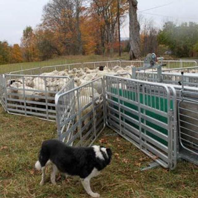 Gillian Marino and Nathaniel Higley's Wedding Registry on Zola
