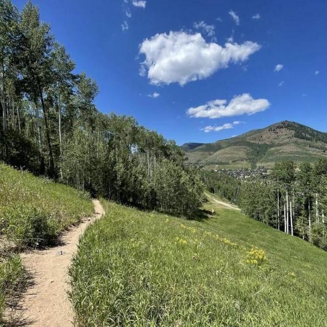 Gretchen Evans and Tyler deVries-Wallace's Wedding Registry on Zola