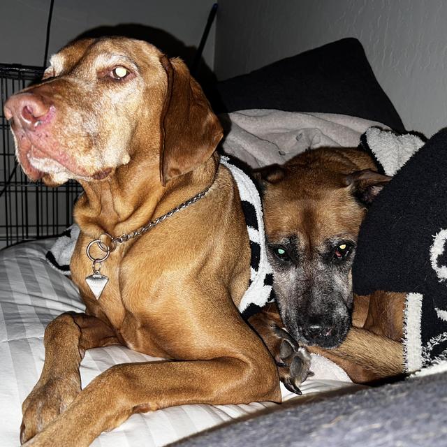 Aly Hagge and Harrison Bowers's Wedding Registry on Zola