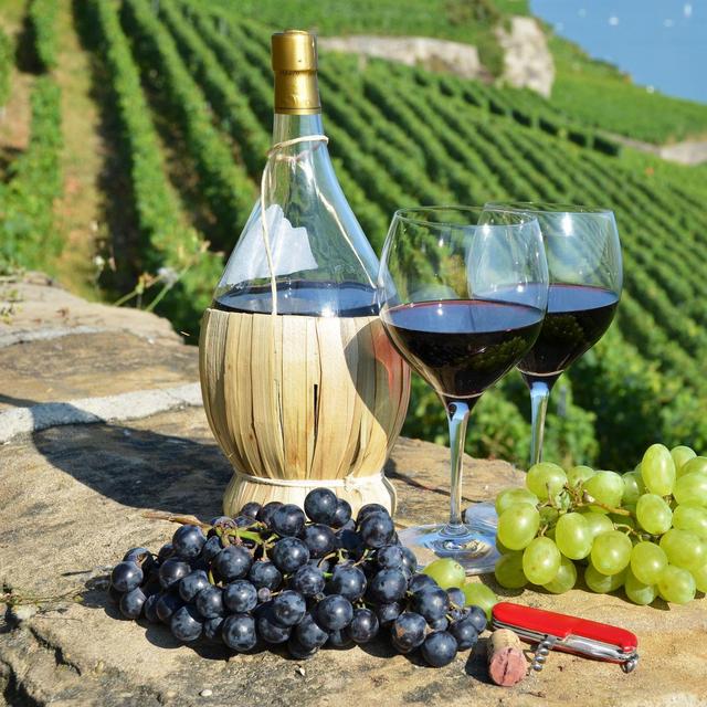 Ashley Criswell and Harrison Schoppa's Wedding Registry on Zola