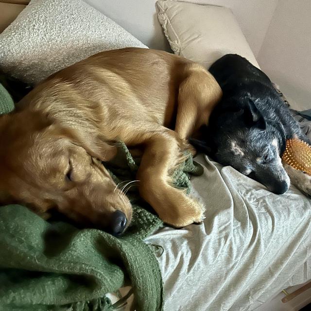 Ashley Criswell and Harrison Schoppa's Wedding Registry on Zola